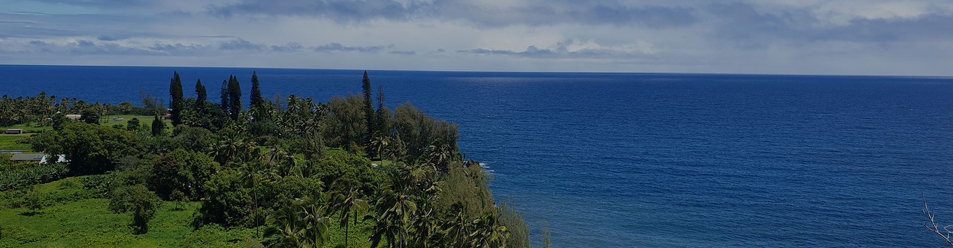 CampEd Spain – Summer 2023 – EdPrograms